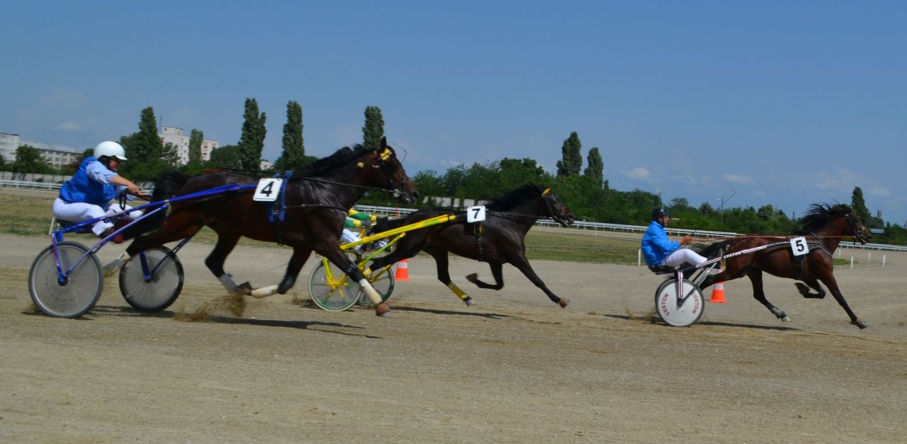 CURSE DE TRAP ŞI GALOP, DAR ŞI UN SHOW ECVESTRU, DUMINICĂ, PE ...